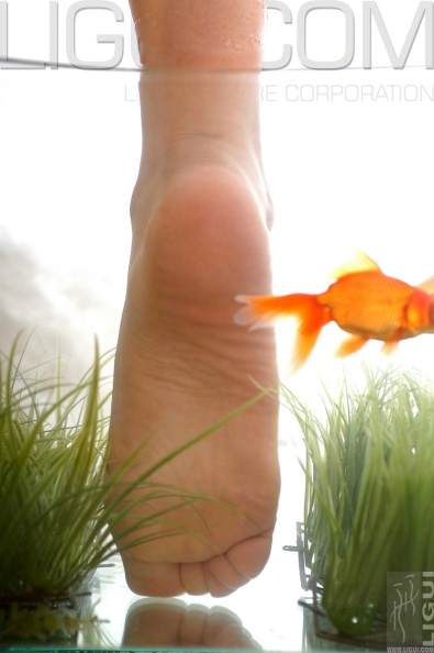 dsc 0138 | （福妹）主题相册